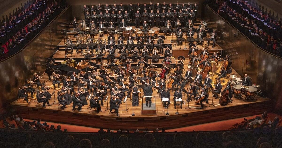 Fresh faces of the MSO | Melbourne Symphony Orchestra