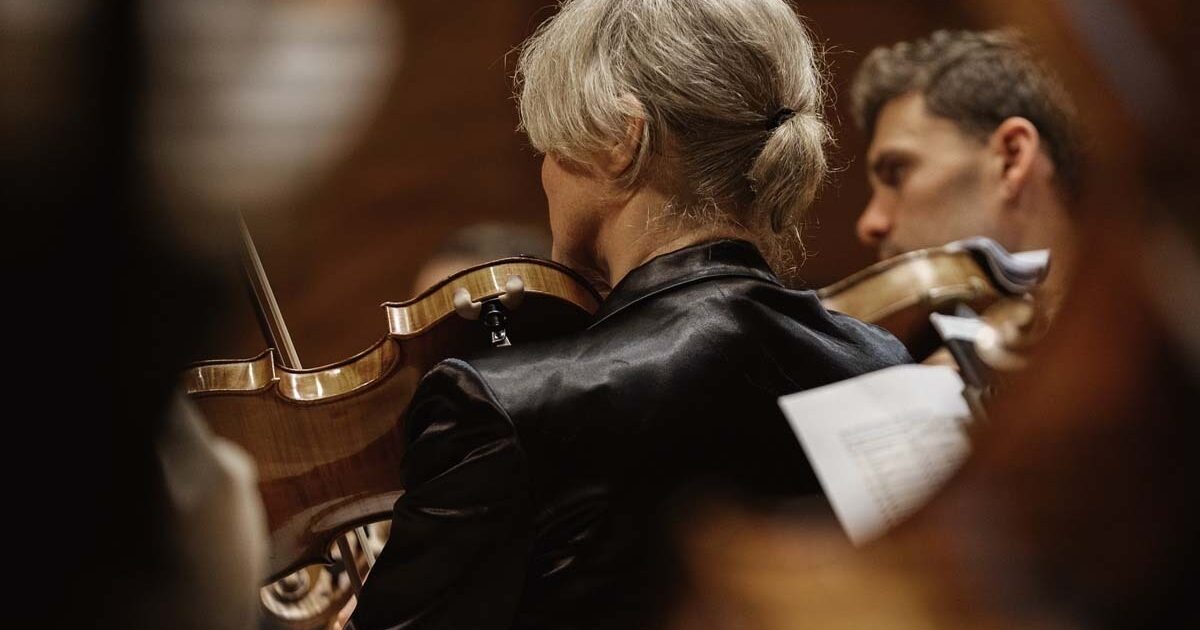 The Voice of Viola: Fiona Sargeant | Melbourne Symphony Orchestra