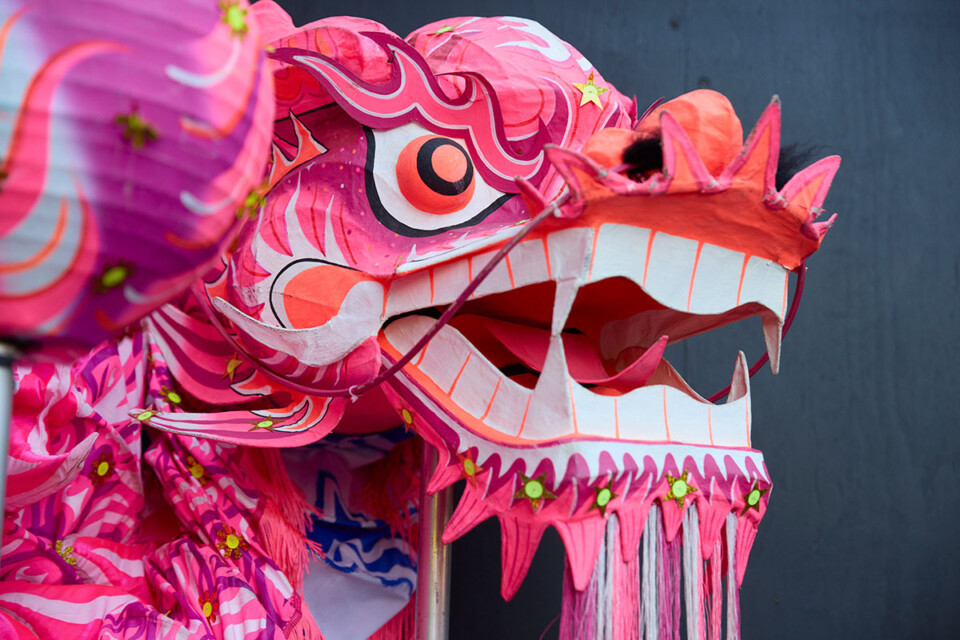 Chinese New Year | 中国新年音乐会 | Melbourne Symphony Orchestra
