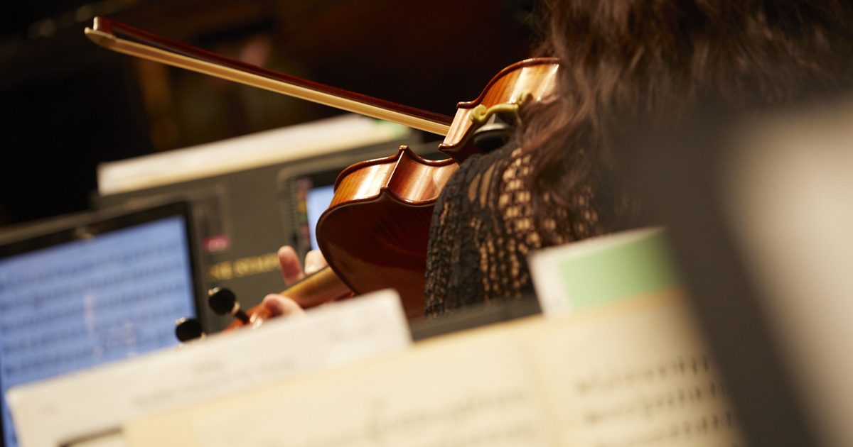Melbourne Symphony Orchestra Board and… | Melbourne Symphony Orchestra