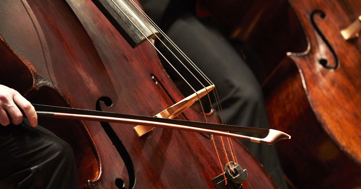 Melbourne Symphony Orchestra launches… | Melbourne Symphony Orchestra