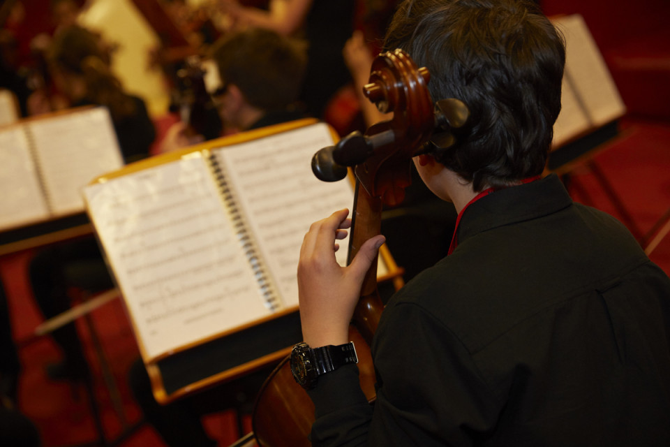 The Pizzicato Effect | Melbourne Symphony Orchestra